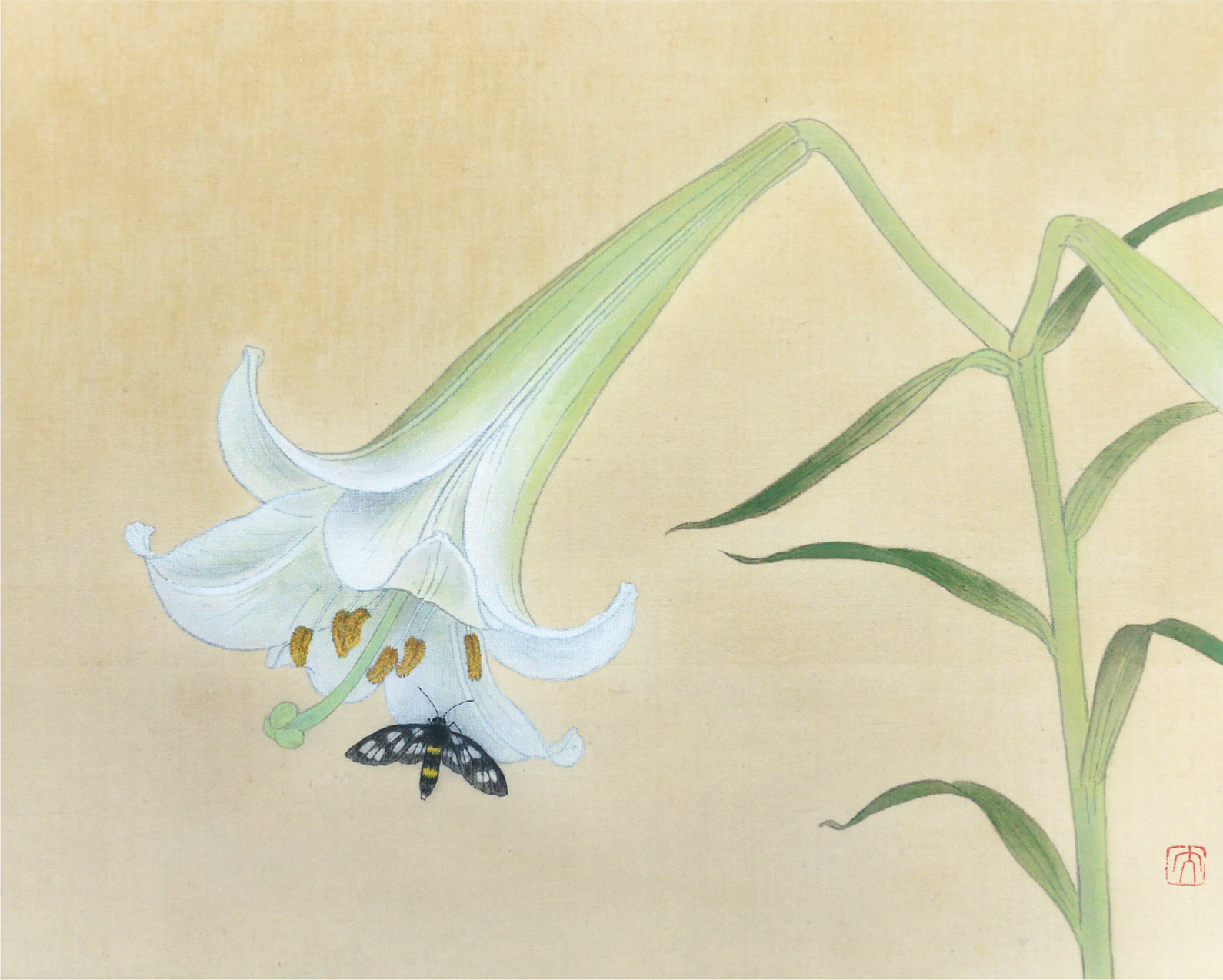 アーティスト・イン・ミュージアム AiM Vol.18 向井大祐 | 岐阜県美術館