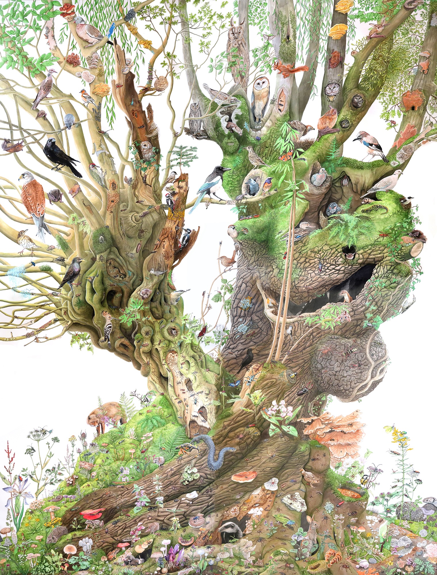 IAMAS ARTIST FILE #10 繭／COCOON:技術から思考するエコロジー | 岐阜県美術館